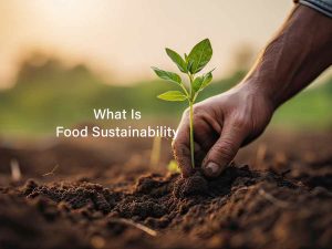 What Is Food Sustainability